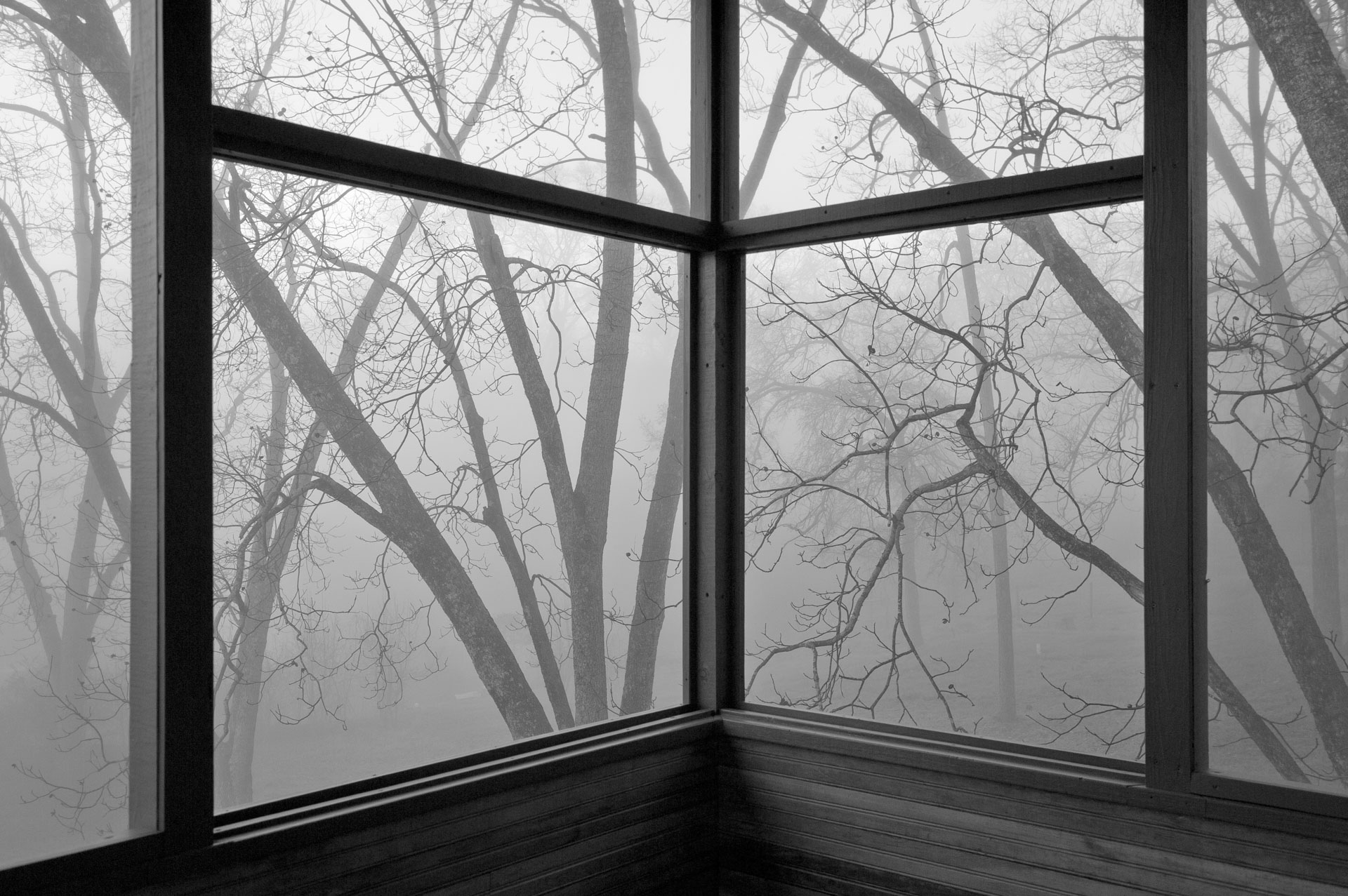 The Window, la nueva imagen en The Wall por Ana Amado - LENS Escuela : LENS